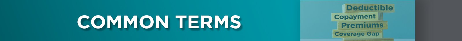 Understand Medicare Common Terms with My Savoy Benefits